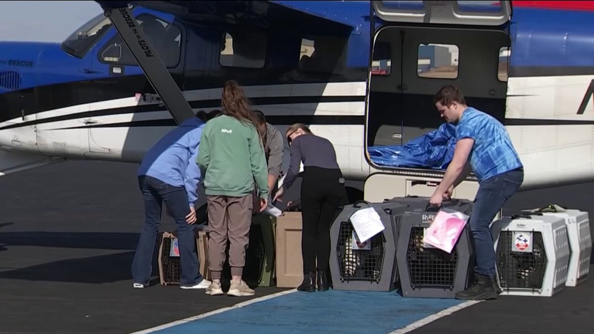 The sky’s the limit for these animal rescue heroes – NBC10 Philadelphia