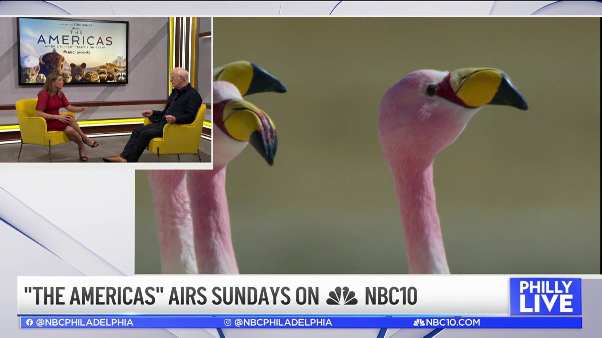 A closer look into the making of nature documentary series ‘The ...