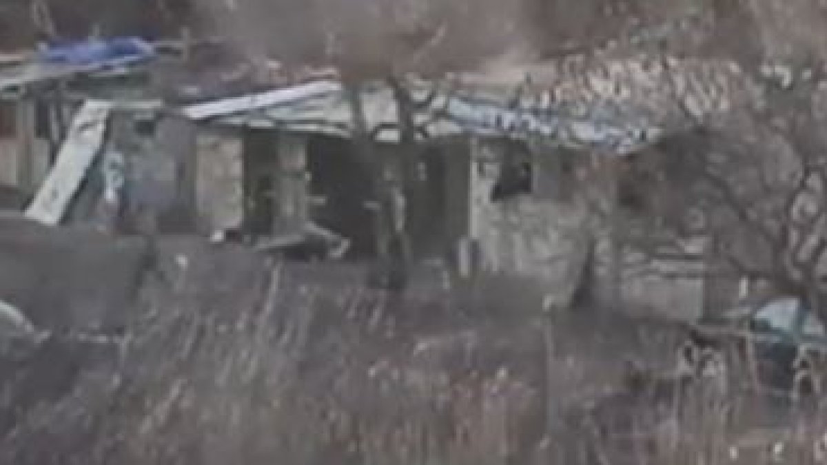 $10,000 Reward Offered for Information on Deadly Horse Stable Fire in ...