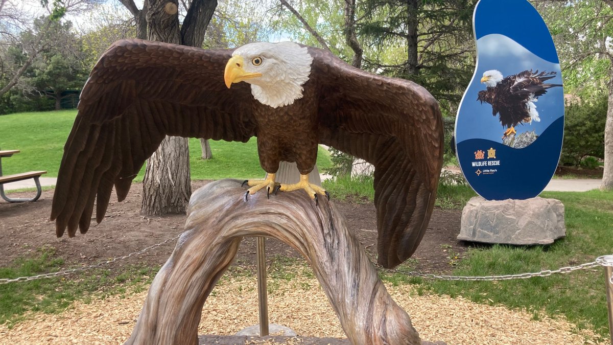 Philadelphia Zoo debuts climbable animal sculpture exhibit – NBC10 ...