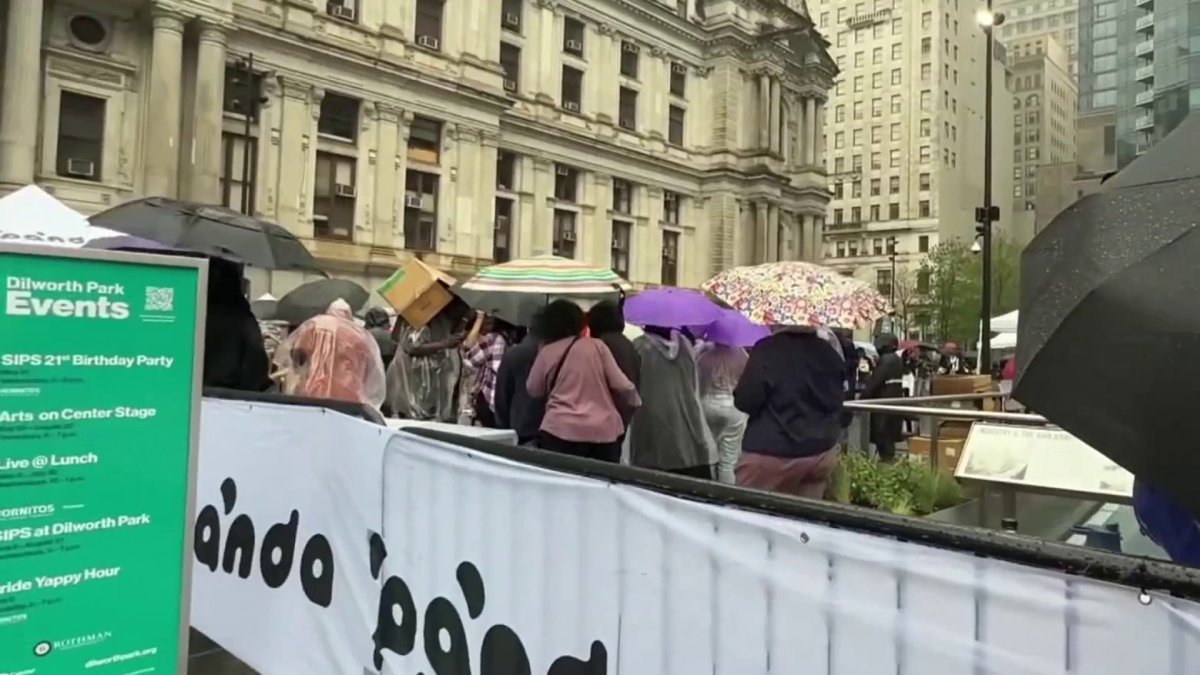 Thousands expected at City Hall’s Panda Fest this weekend – NBC10 ...