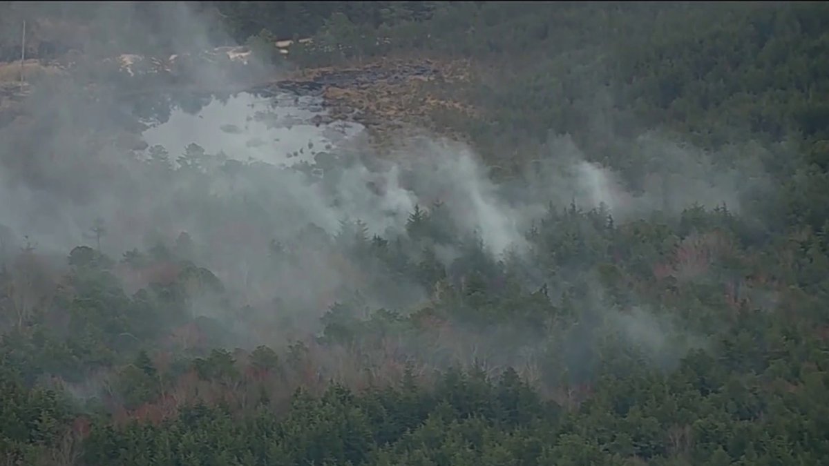 Ocean County wildfire now 75% contained – NBC10 Philadelphia