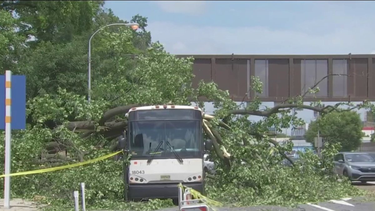 Tree falls on NJ Transit bus in Franklin Square in Philadelphia – NBC10 ...