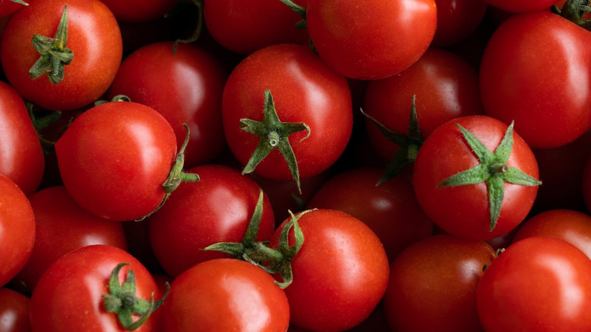 Tomato recall: Alert issued for Illinois, 10 states – NBC10 Philadelphia