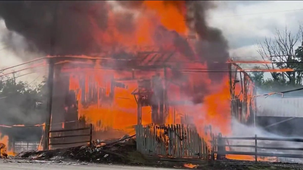 Nearly 20 animals killed in barn fire at Pa. rescue – NBC10 Philadelphia