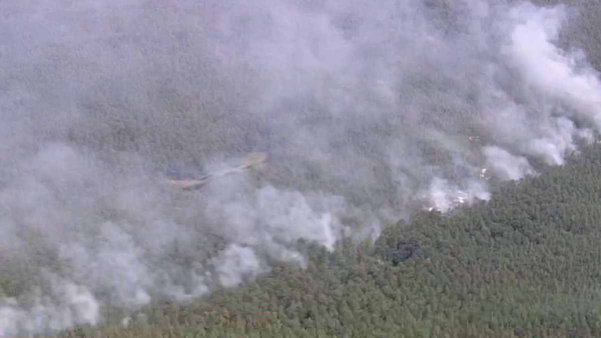 Wildfire burning in the Wharton State Forest in Burlington County ...