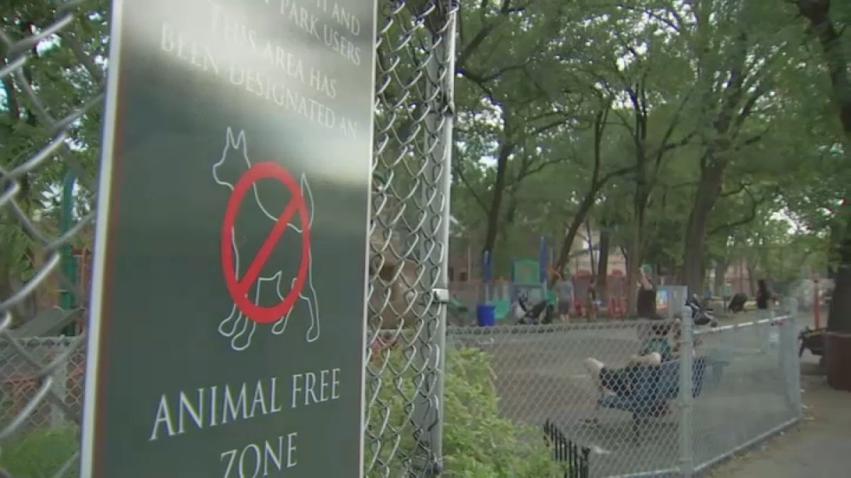 New bill could fine Philly pet owners for entering animal-free zones ...