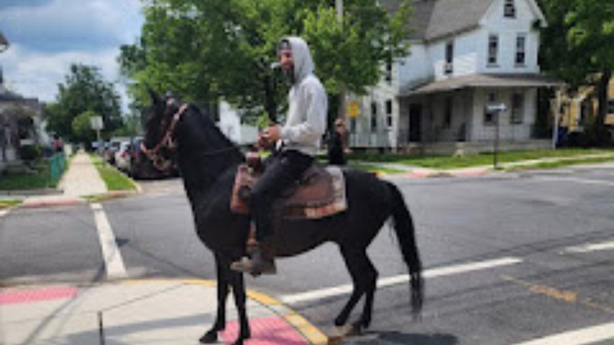 Heroic Horseback Witness Helps New Jersey Police Catch Hit-and-Run ...