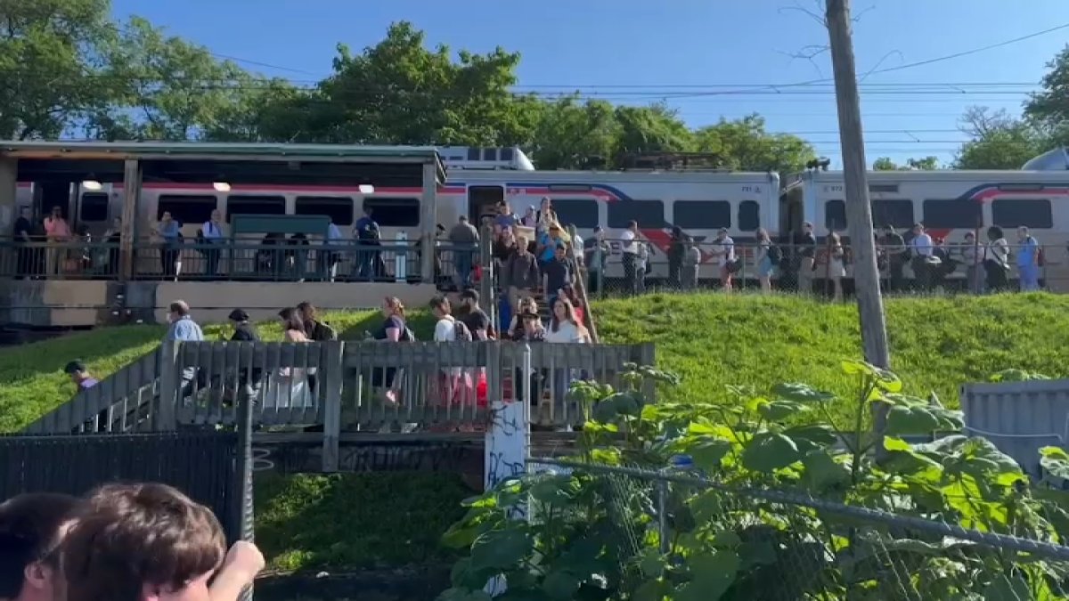 Tree branch strikes SEPTA train in North Philly – NBC10 Philadelphia