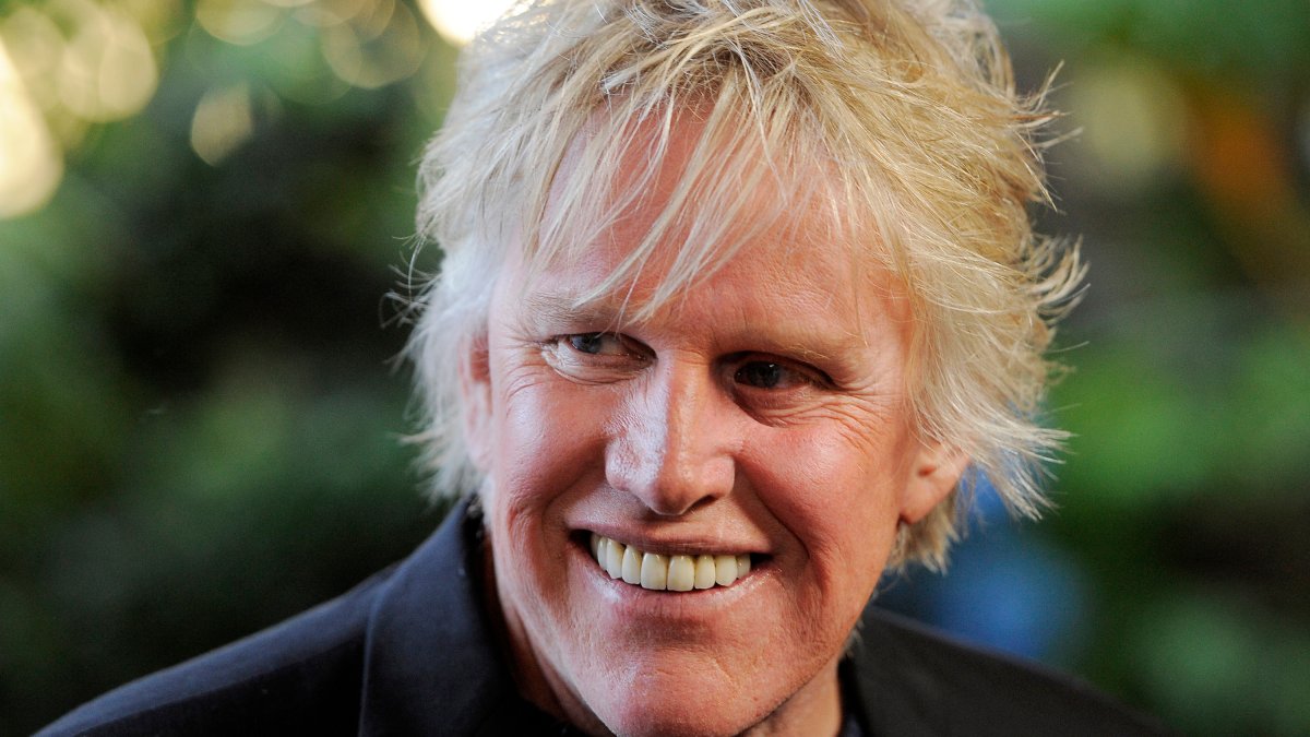 Gary Busey pleads guilty in sex case from incident at NJ convention ...