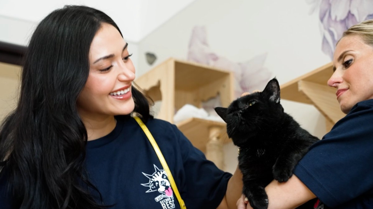 Love Island’s Leah Kateb helps shine a spotlight on shelter pets ...