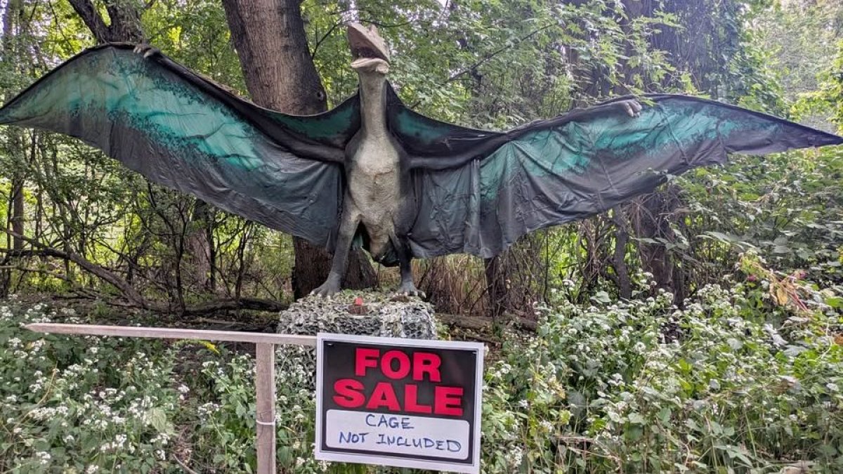 Dinosaurs for sale on Facebook Marketplace in New Jersey – NBC10 ...