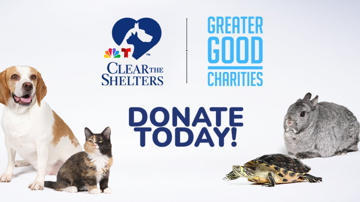 Hundreds of local animals adopted through Clear the Shelters – NBC10 ...