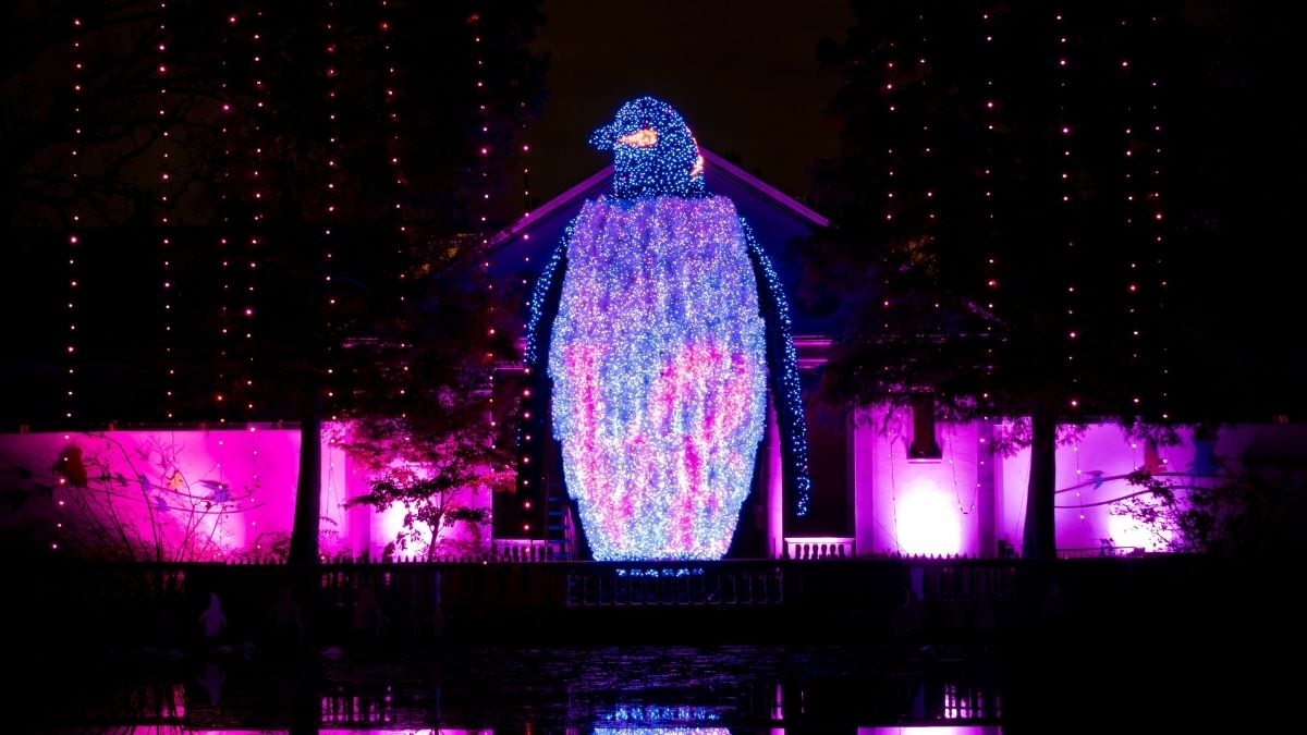 Philadelphia Zoo set to debut new 110-foot Ferris wheel – NBC10 ...