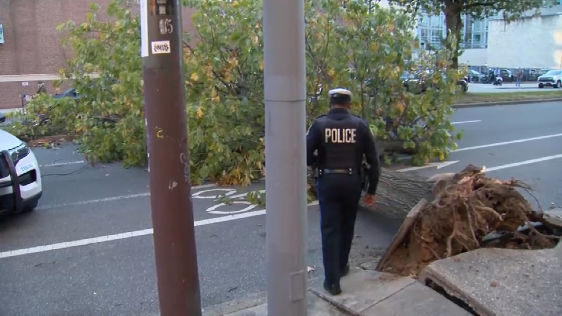 Tree falls on Spring Garden Street in Philly on Friday – NBC10 Philadelphia