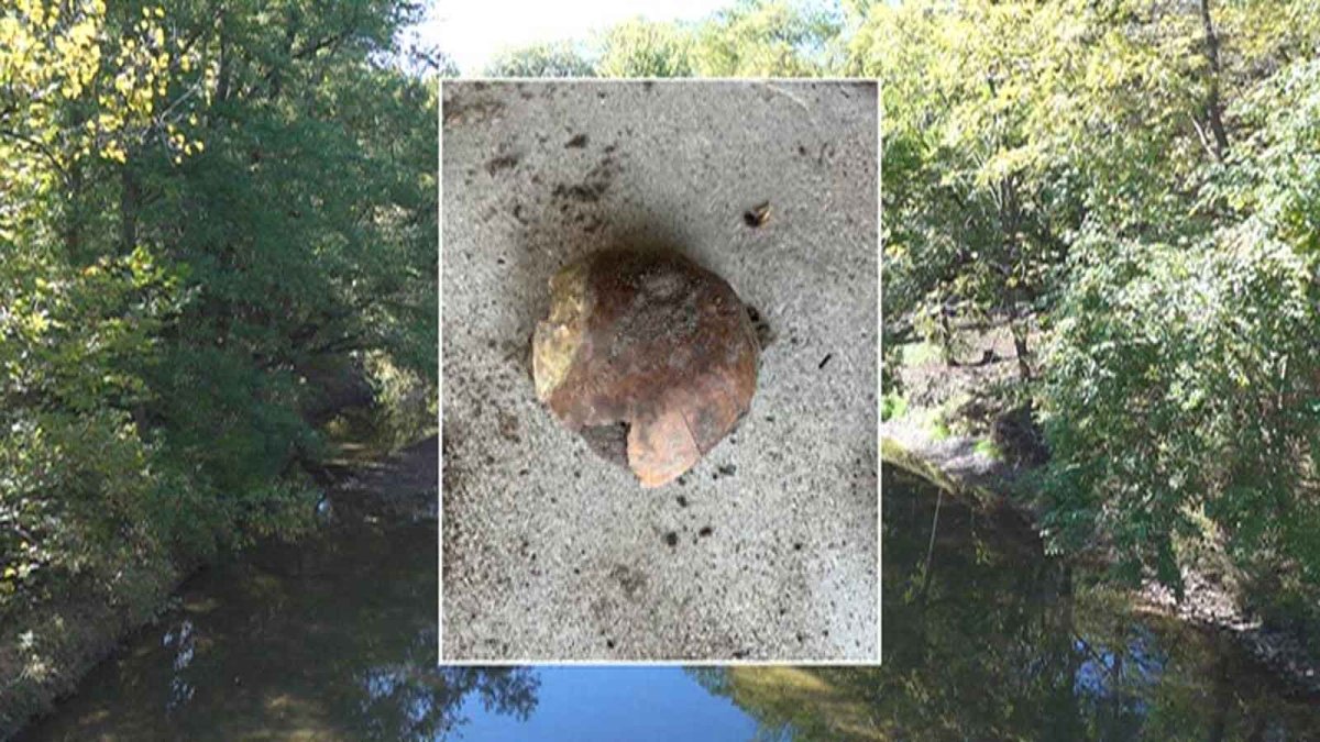 Human remains dating back 4,200 years found in Indiana – NBC10 Philadelphia