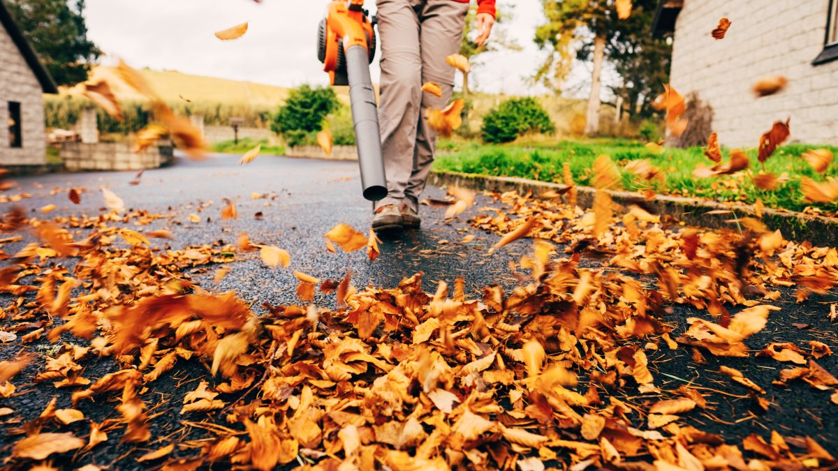 Lower Merion Township moves to ban gas-powered leaf blowers – NBC10 ...