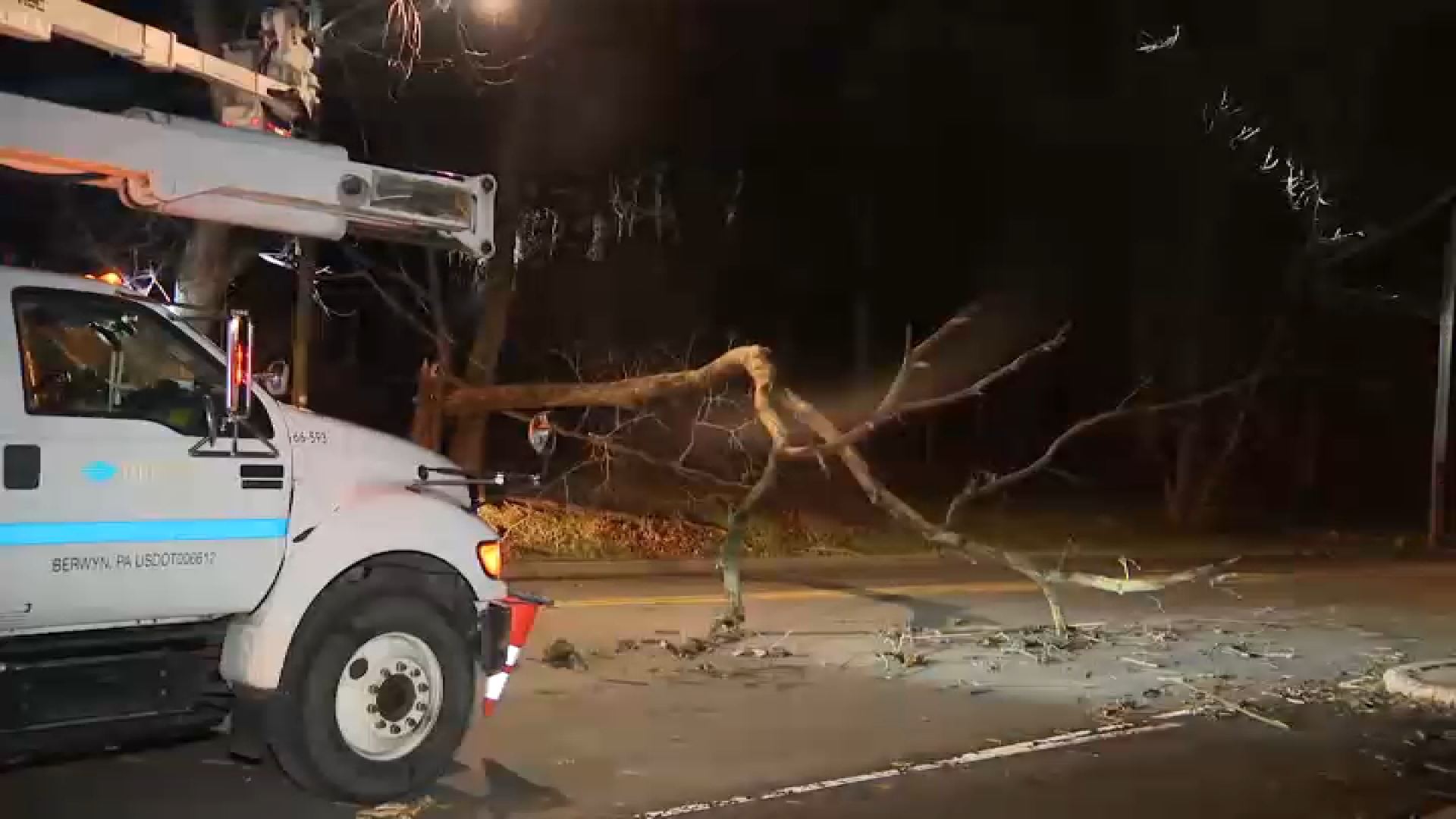 Several trees fall because of strong wind gusts Friday – NBC10 Philadelphia