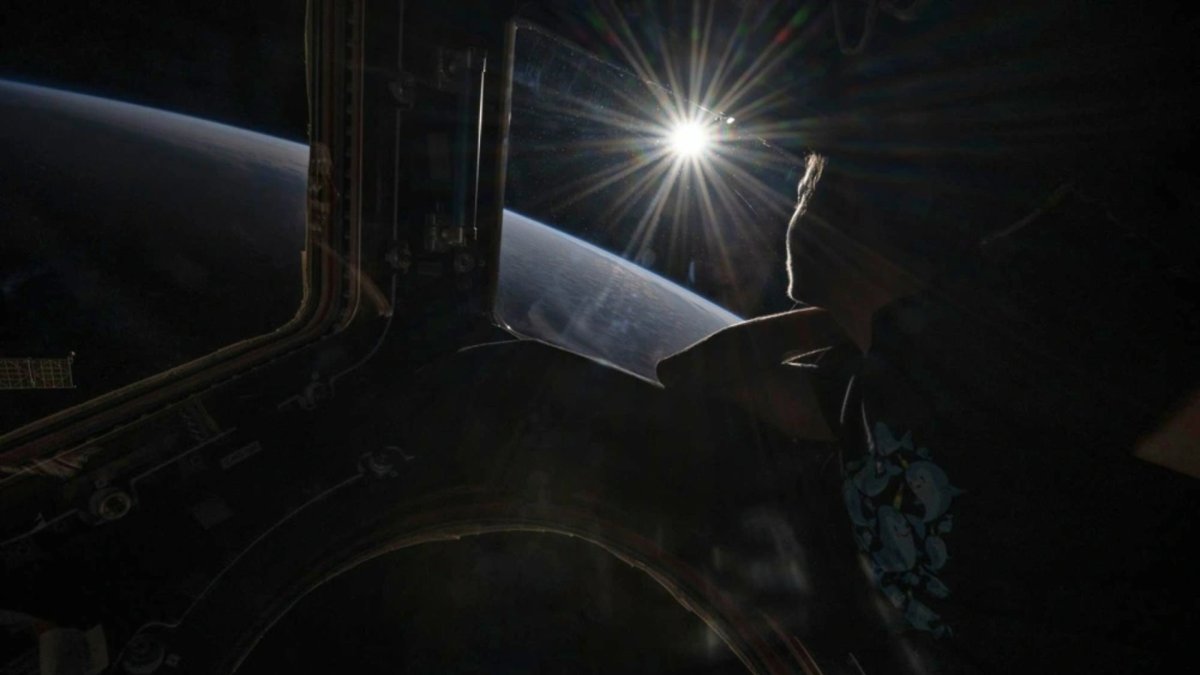 Astronauts’ brains change shape and position after time in space, study ...