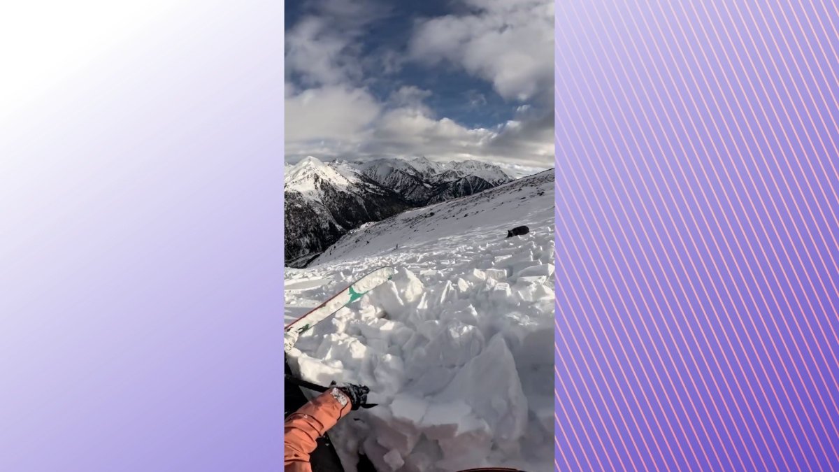 WATCH: Woman skiing with dog says she triggered avalanche – NBC10 ...