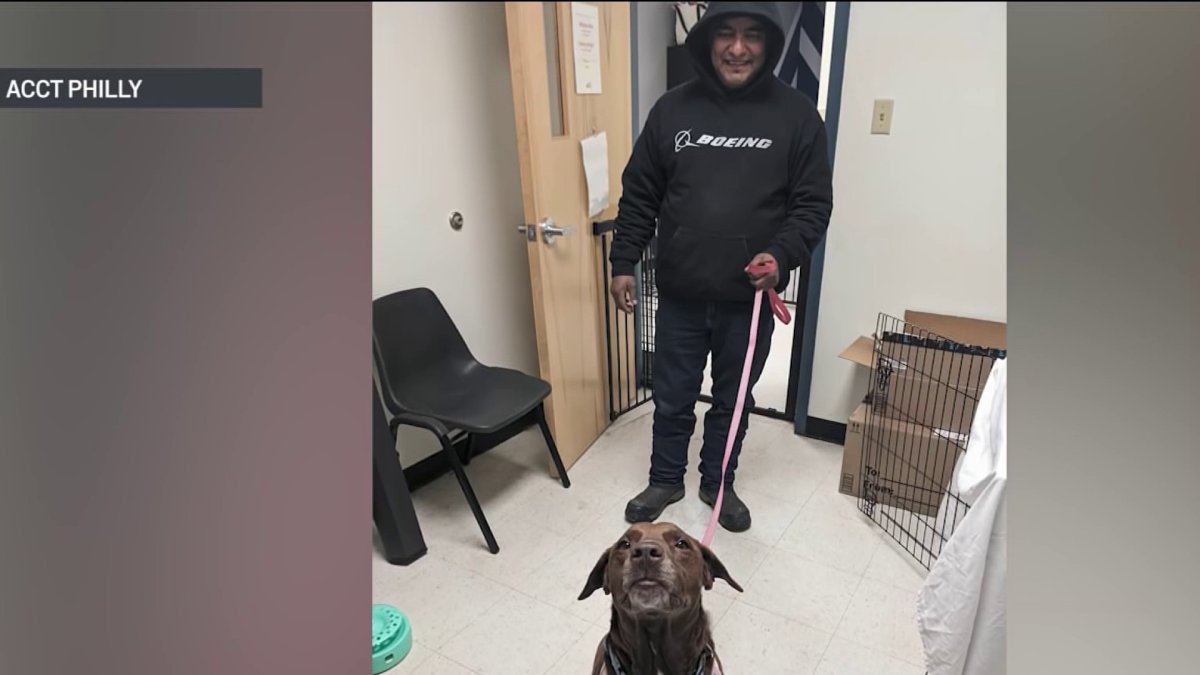 ACCT Philly reunites dog with owner after 4 years – NBC10 Philadelphia