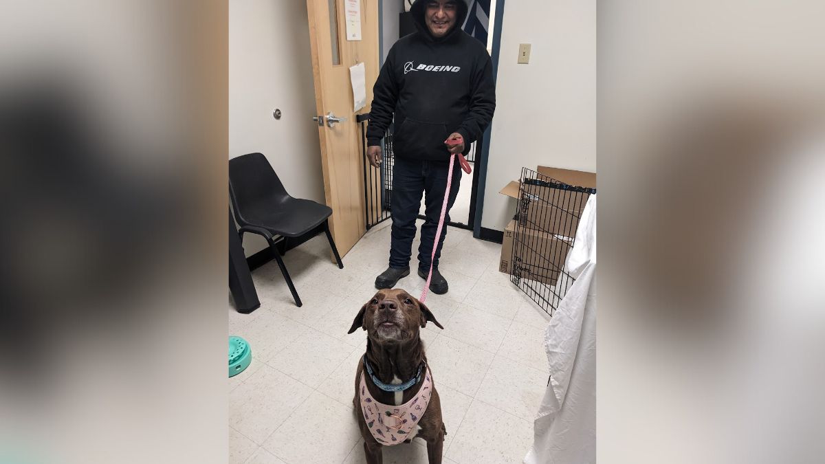 ACCT Philly reunites lost dog with owner after four years – NBC10 ...