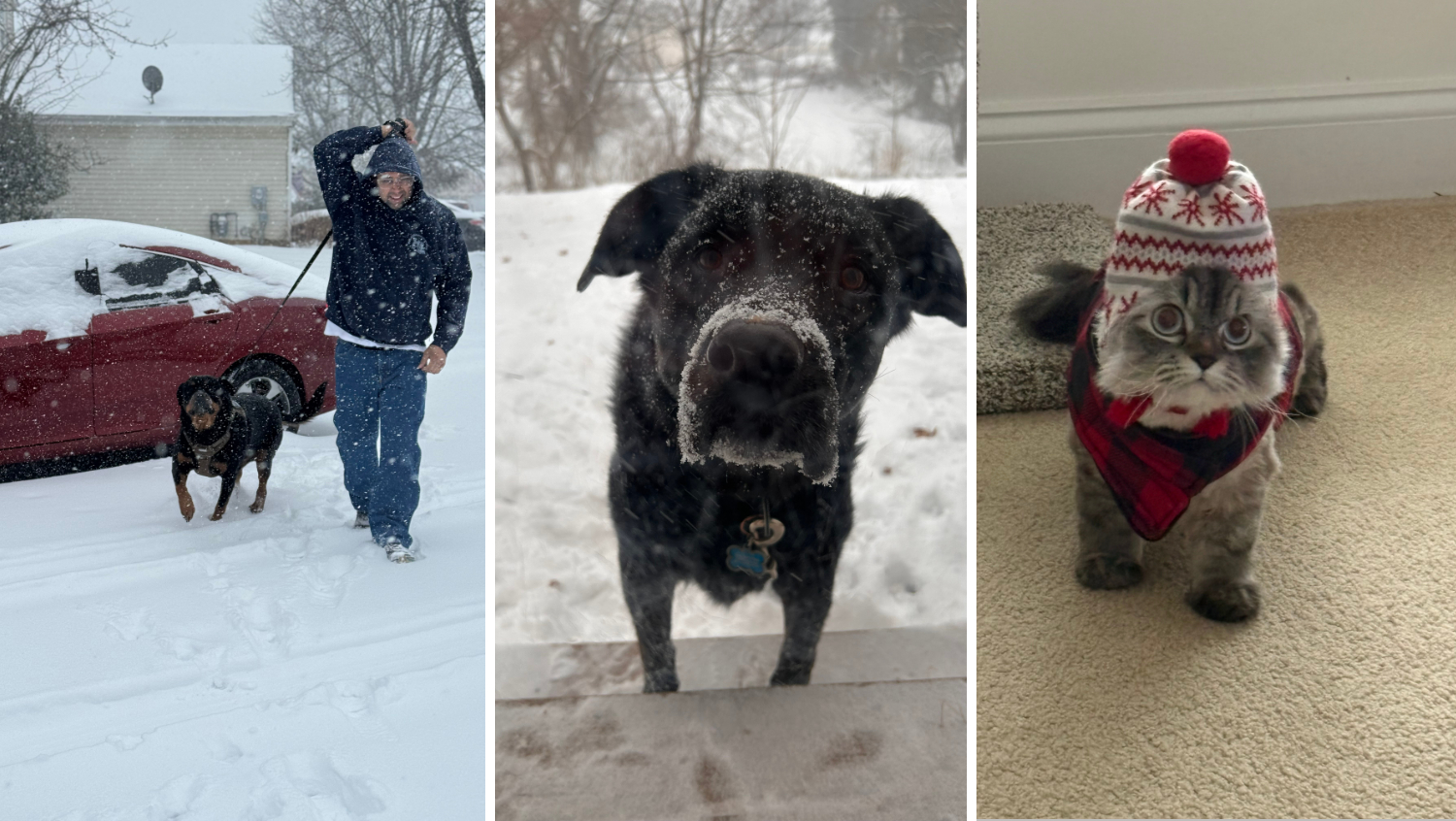 Your snow photos from across the Philly region – NBC10 Philadelphia