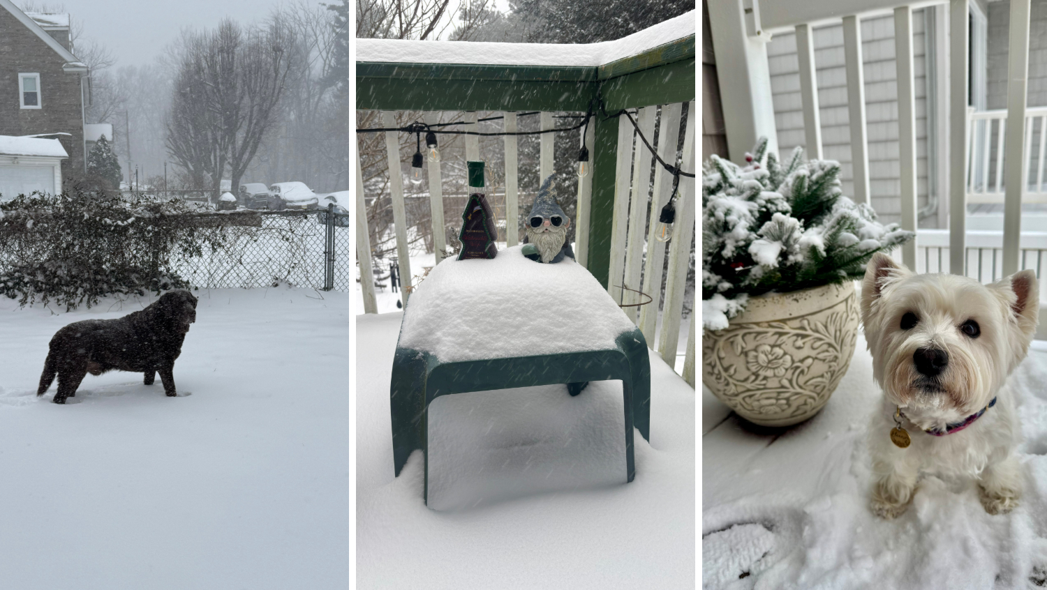 Your snow photos from across the Philly region – NBC10 Philadelphia