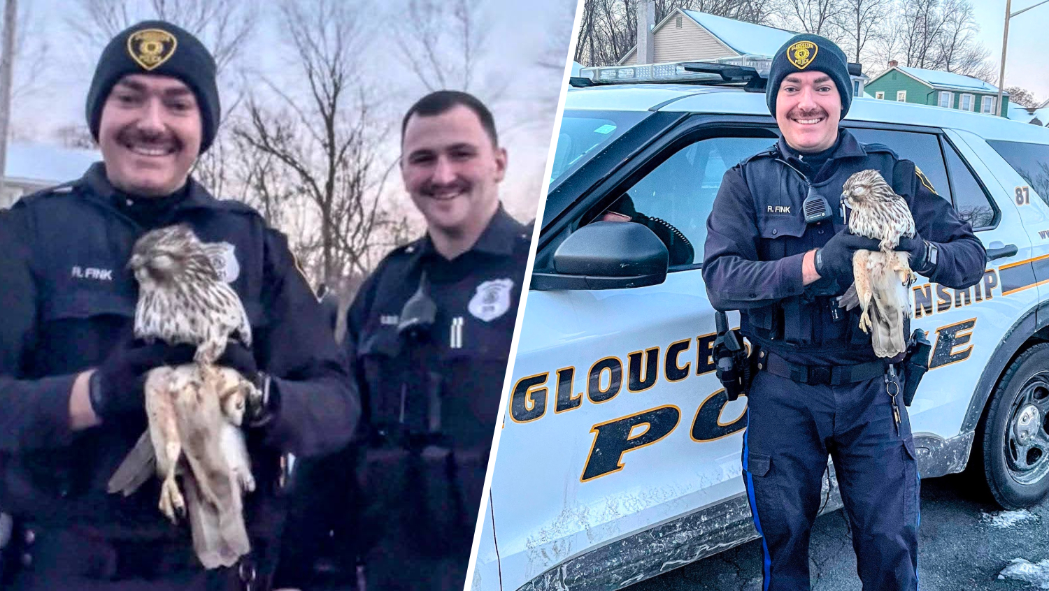 Police rescue hawk from inside New Jersey home – NBC10 Philadelphia