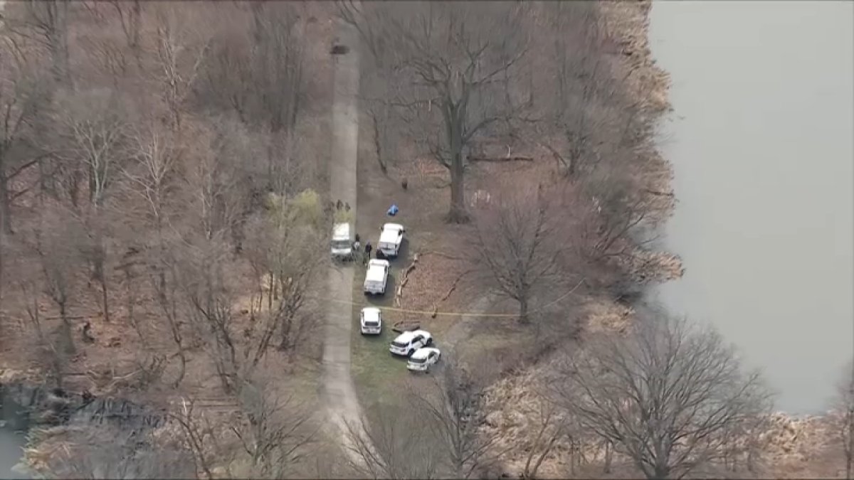 Body of woman found in water near FDR Park, police say – NBC10 Philadelphia