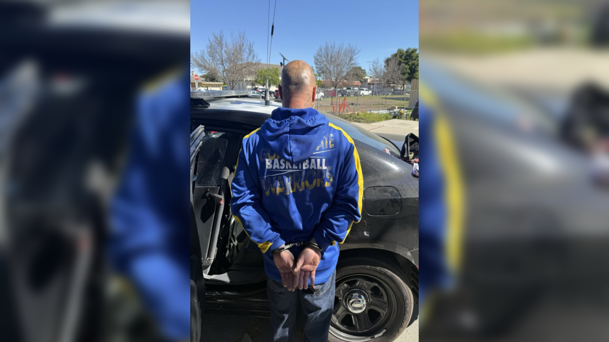 Man facing auto theft charges accused of driving to court in stolen car ...
