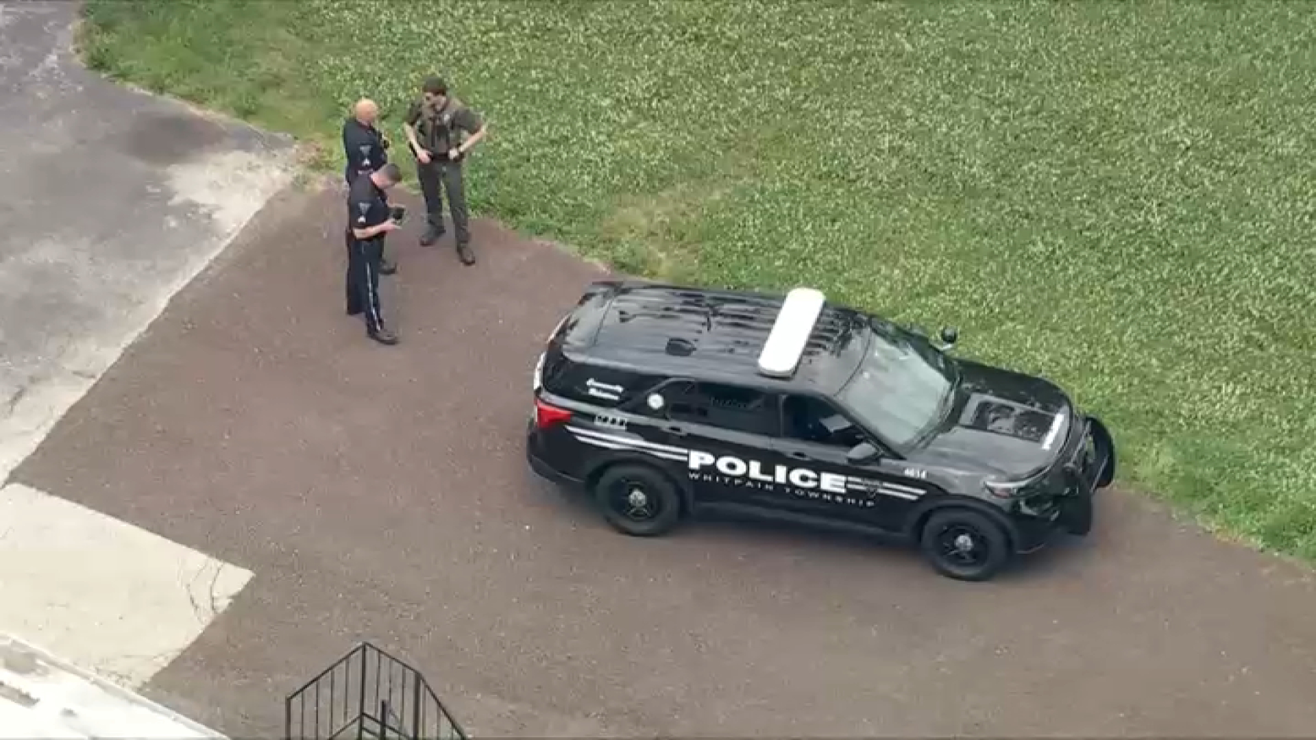 Officials safely capture black bear spotted – NBC10 Philadelphia