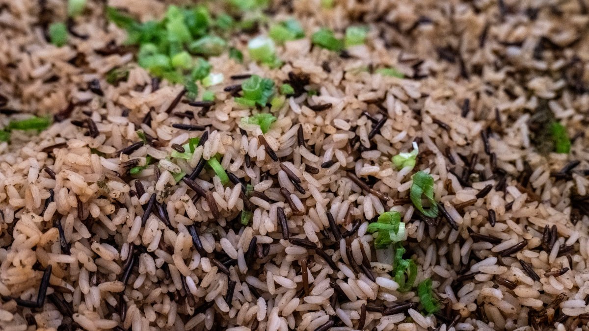 Dietitian shares the top 5 healthy grains with the most protein – NBC10 ...
