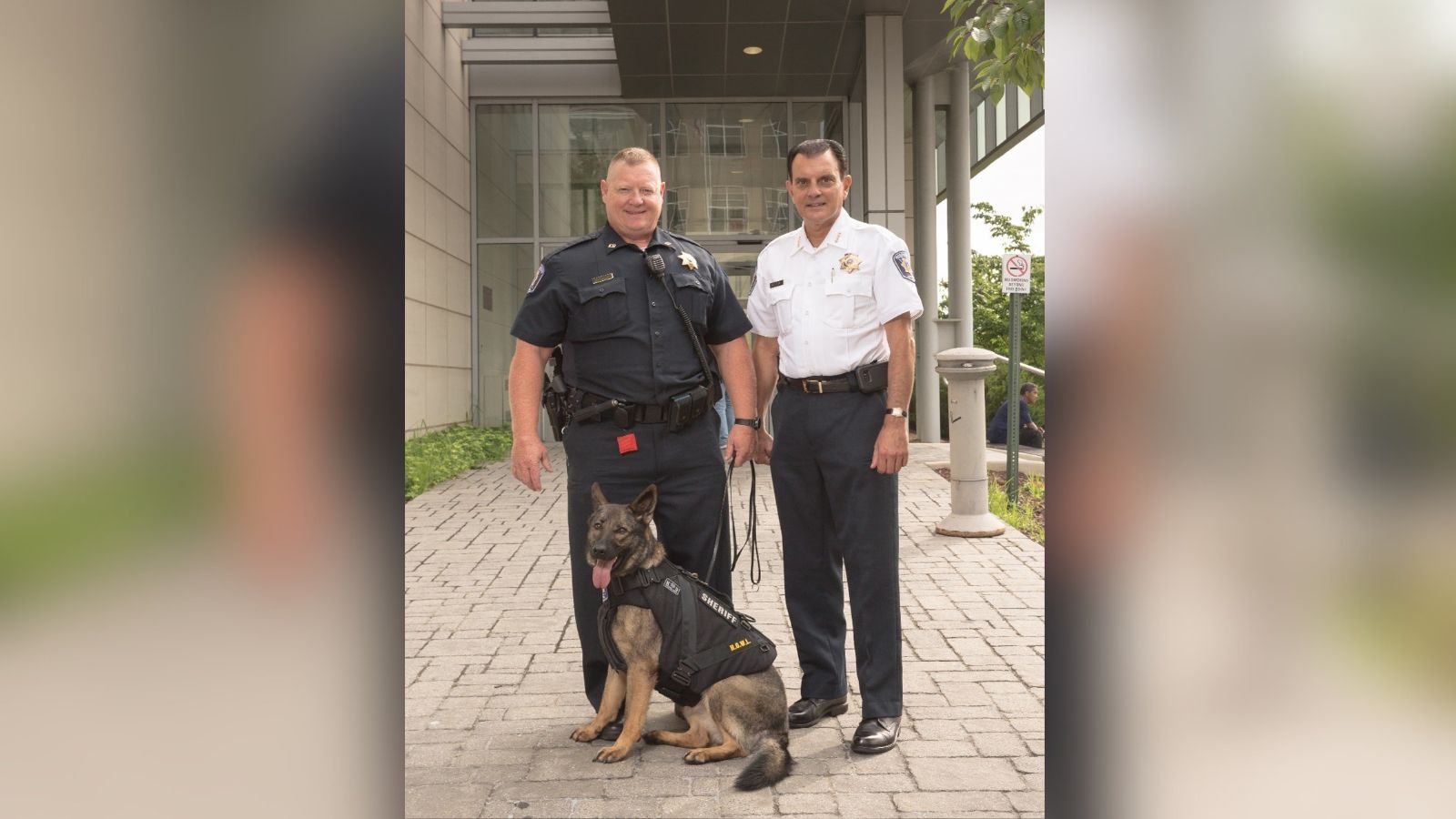 Lehigh County Sheriff’s Office’s first-ever K-9 passes away – NBC10 ...