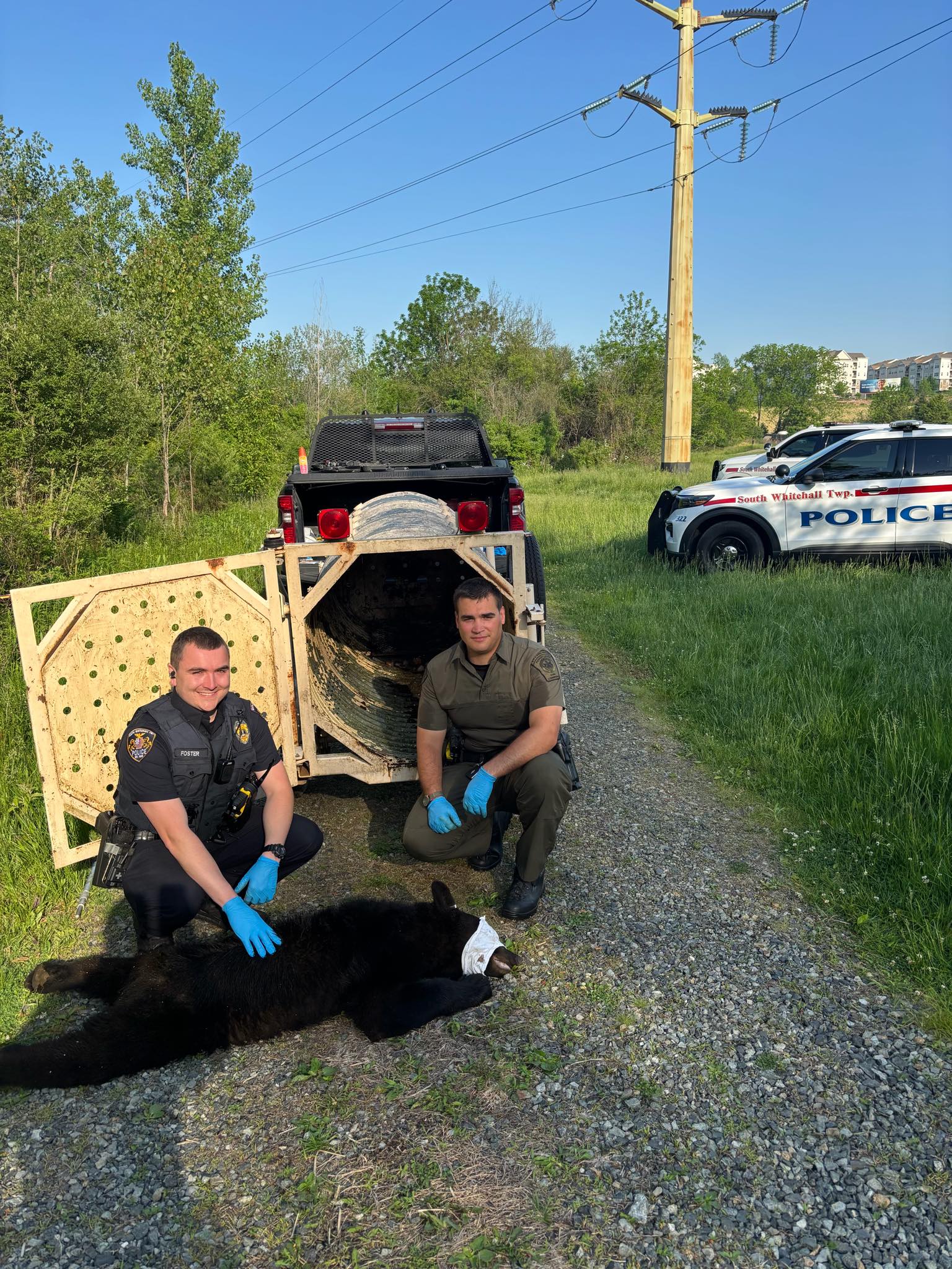 Officers safely capture bear found near Lehigh Co. soccer fields ...