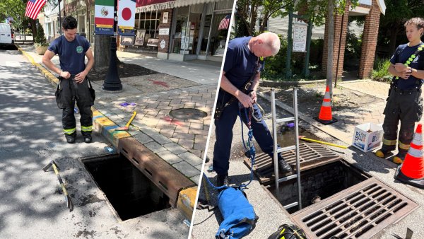 7 ducklings saved from storm drain by NJ firefighters – NBC10 Philadelphia