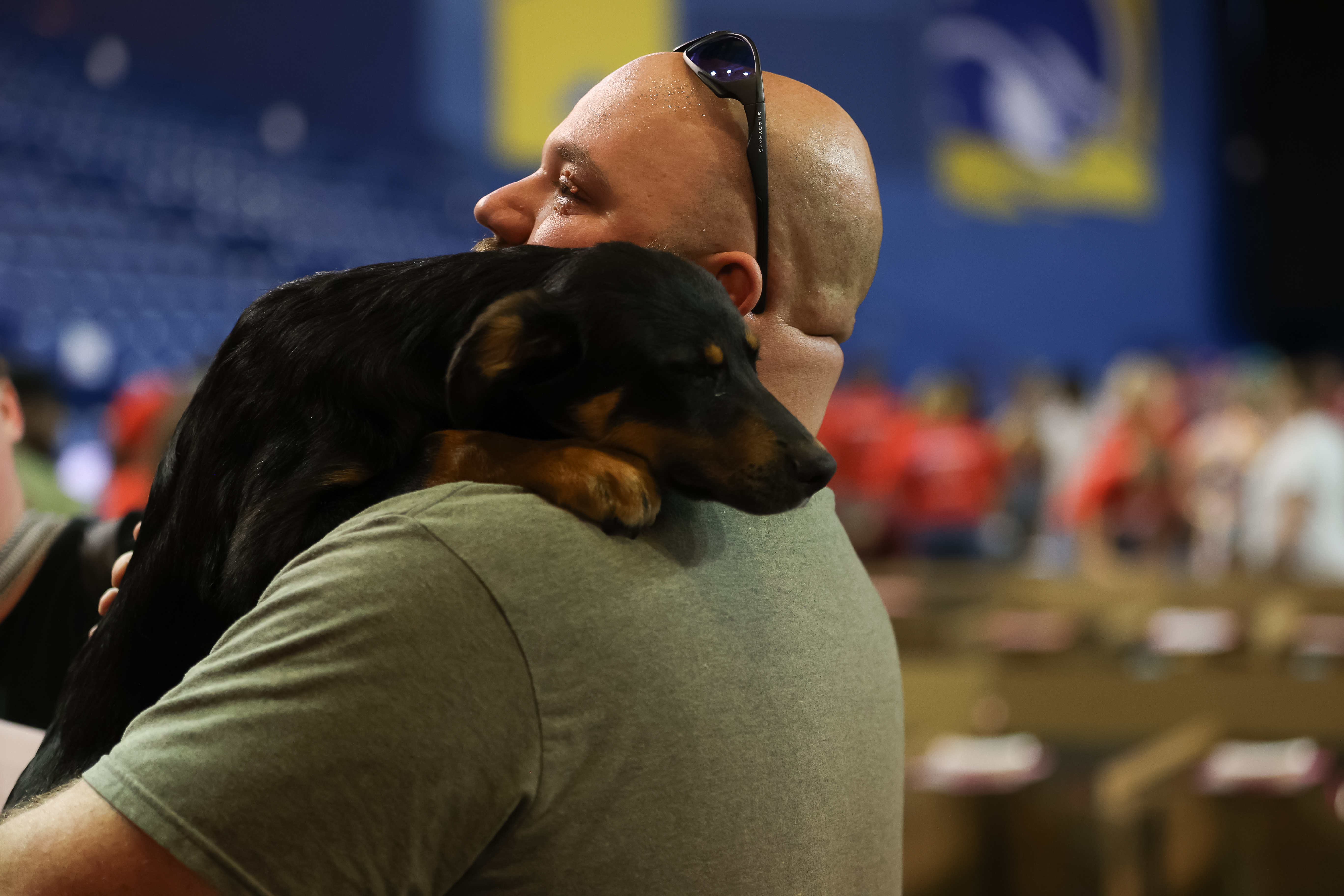 Mega pet adoption event returns to Delaware this June – NBC10 Philadelphia