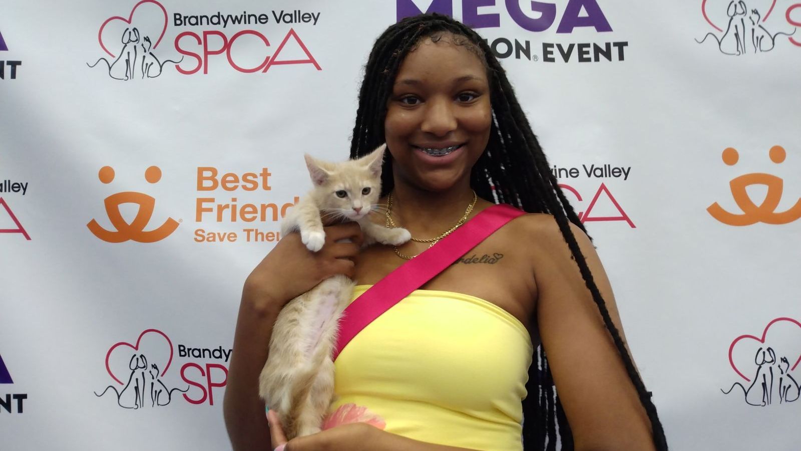Mega adoption event helps over 1,200 pets find homes – NBC10 Philadelphia