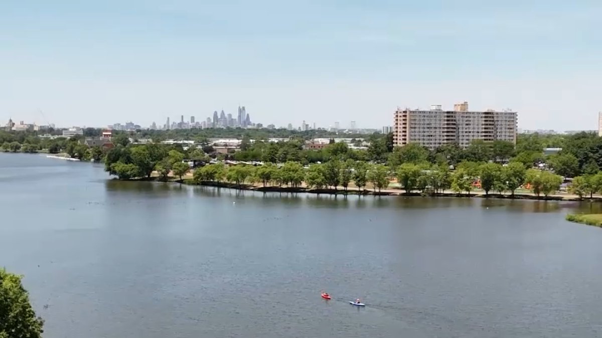 Camden County announces World Cup soccer festival, watch parties ...