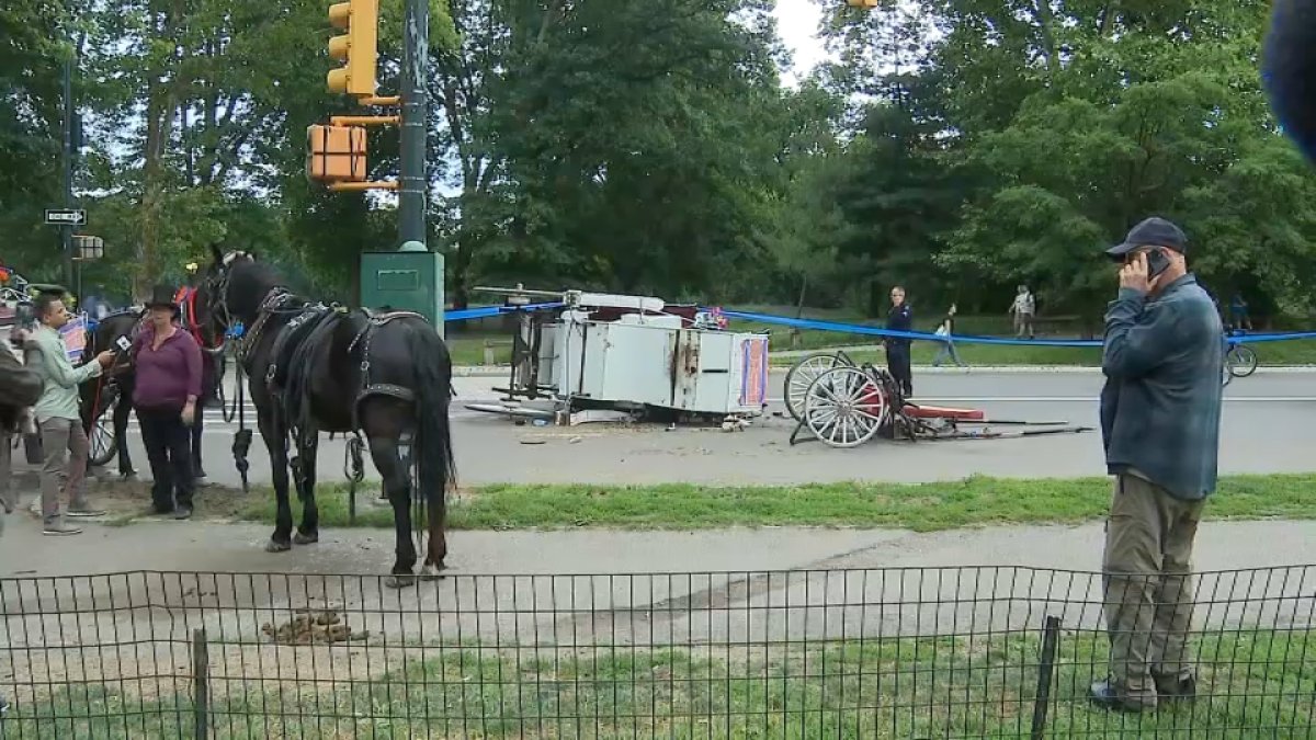 Central Park runaway horse carriage falls, killing 18-year-old – NBC10 ...
