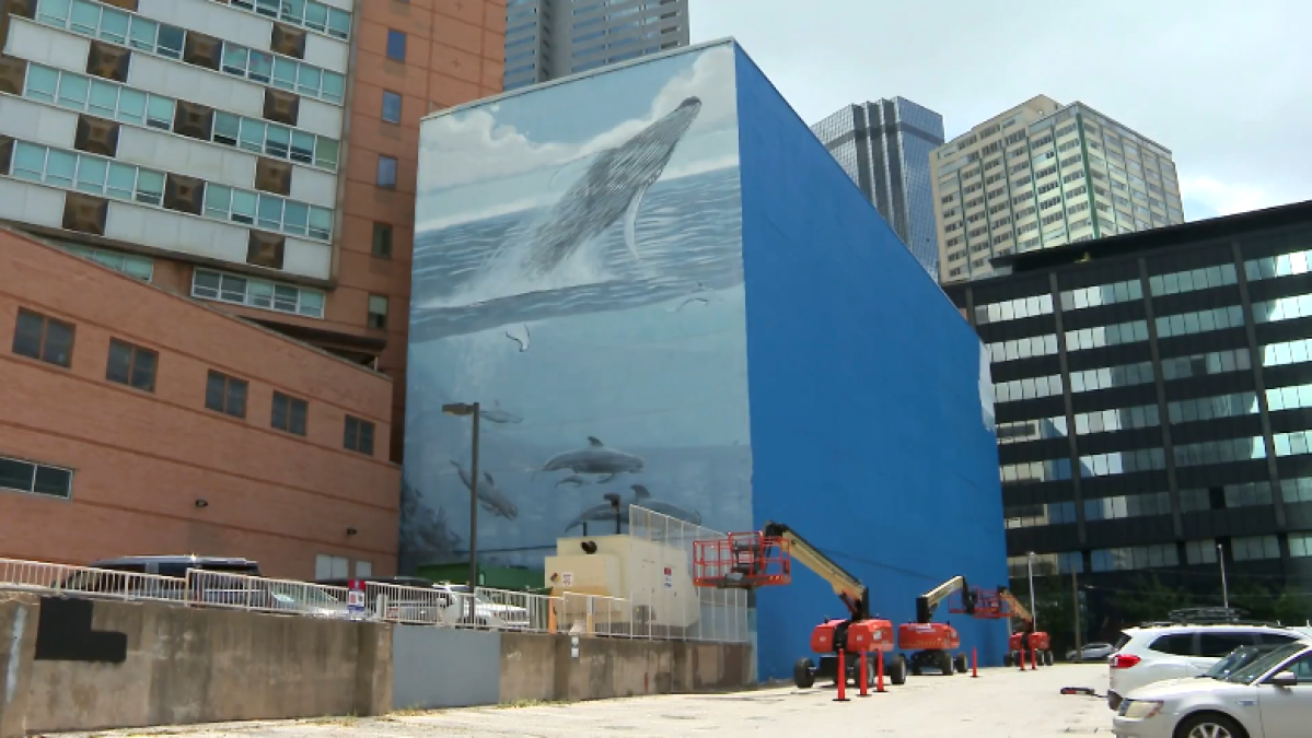 Wyland sues FIFA over Dallas whale mural in federal court – NBC10 ...